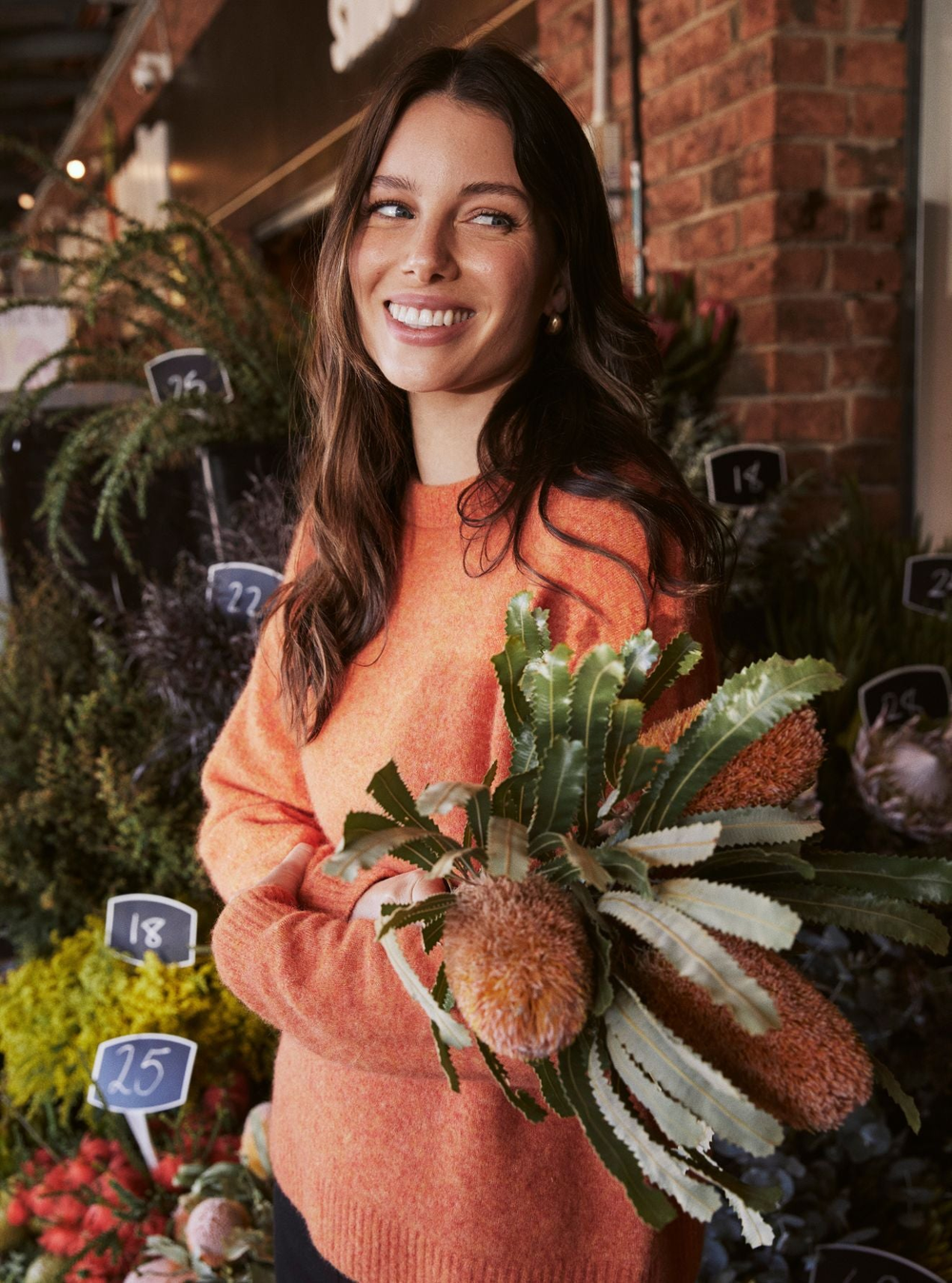 The Ark Clothing Co.