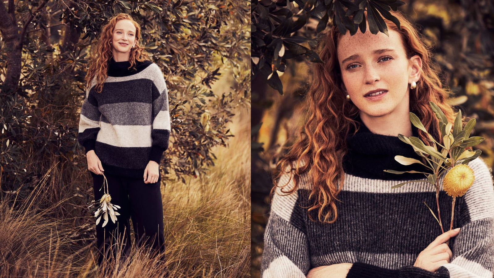 The Ark Clothing Co.